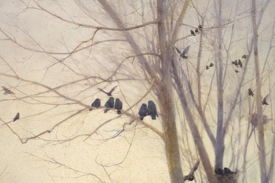 Exhibitions | National Gallery of Ireland